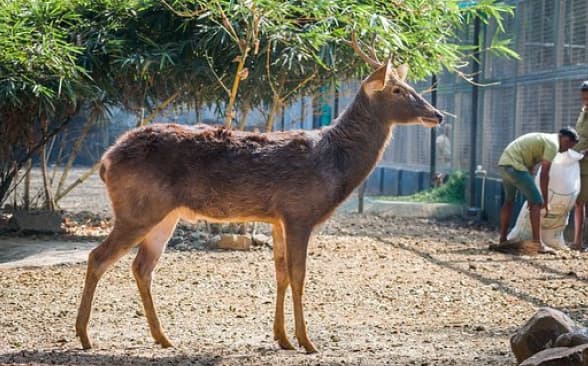 Rani Baug | Rani Baug Byculla | Byculla Zoo